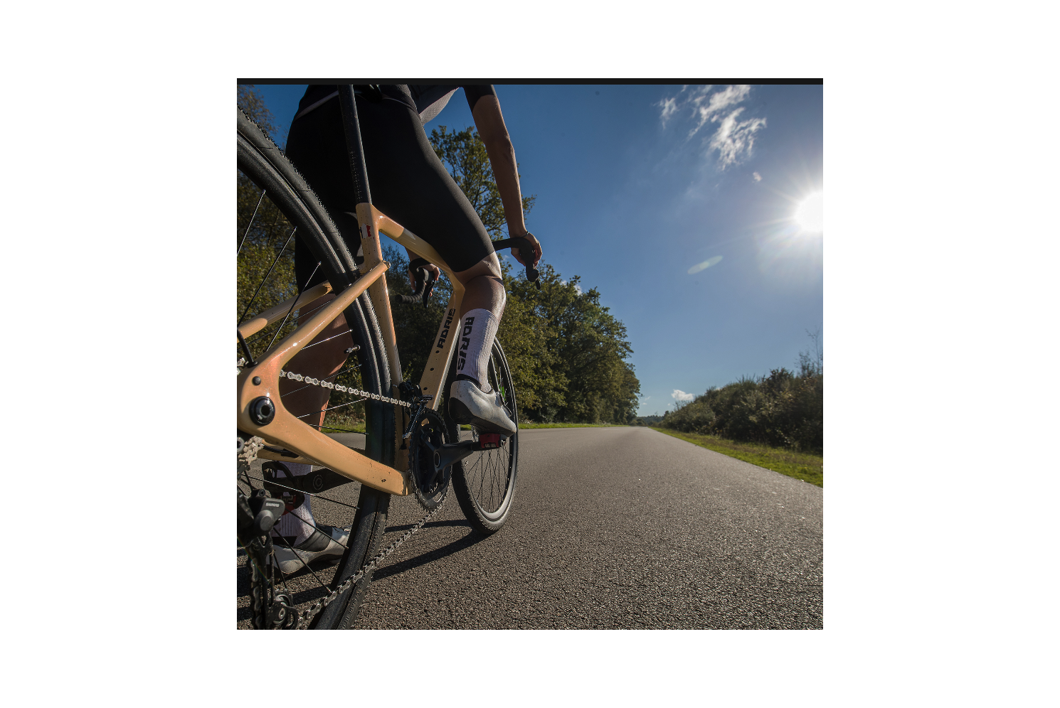 Vélo ADRIS Gravel L'aventure S2 nouveau modèle 2025 - ARTIVELO